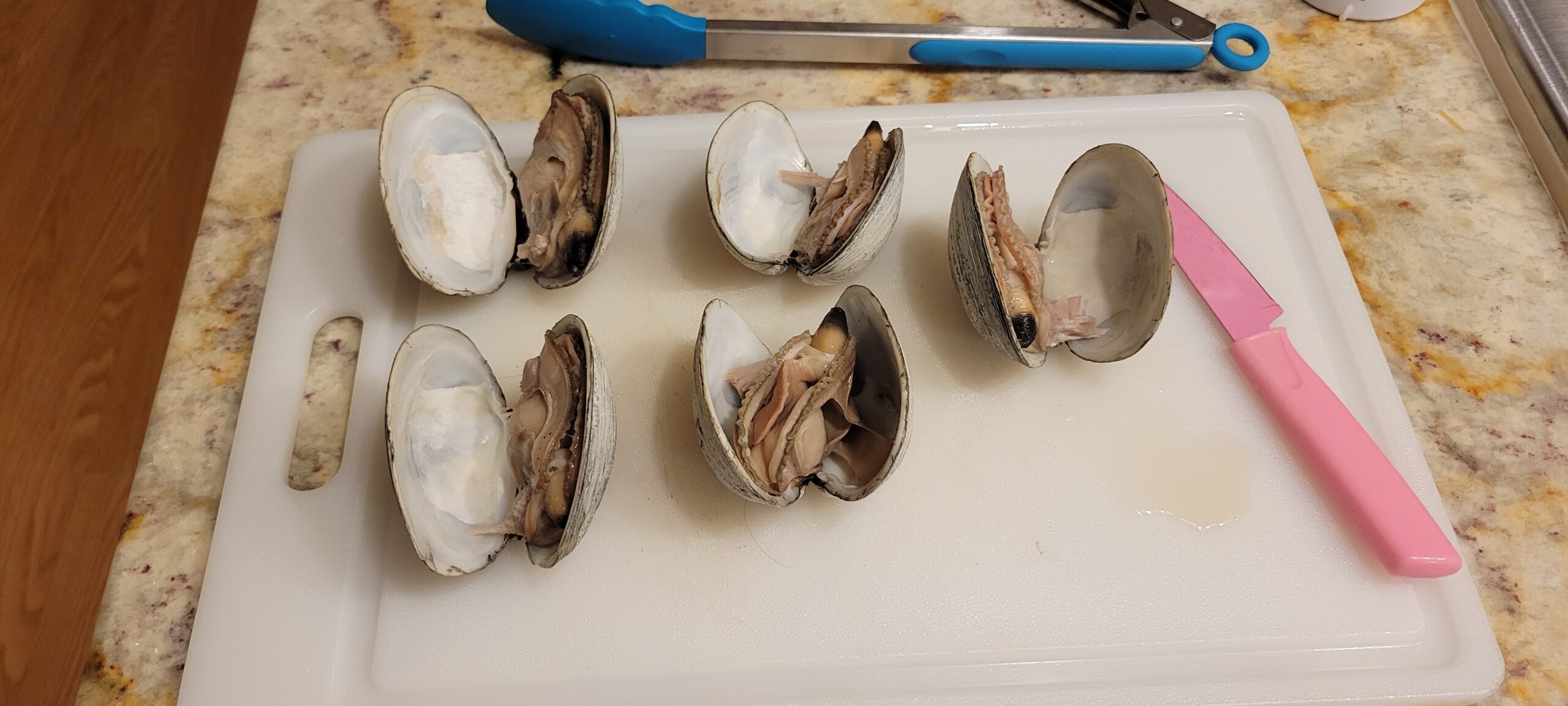 Winter Clam Digging in Washington: Butter and Steamer Clams